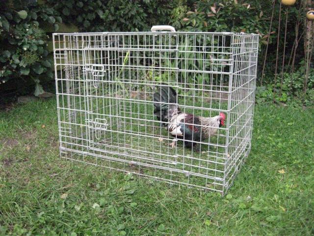 Triestig… – Hetty Site